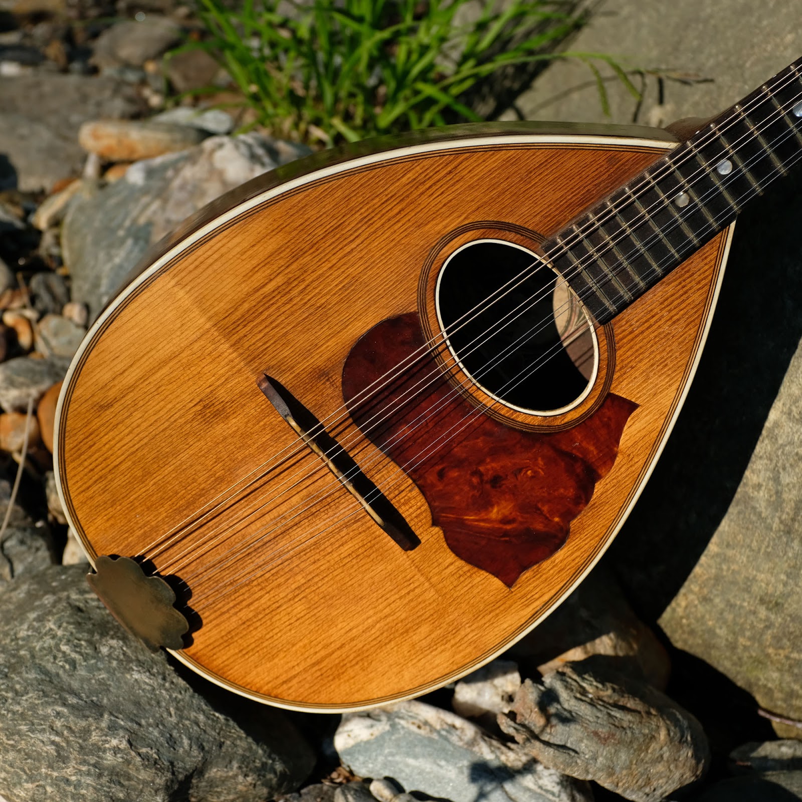 1920s Favilla Flatback Mandolin