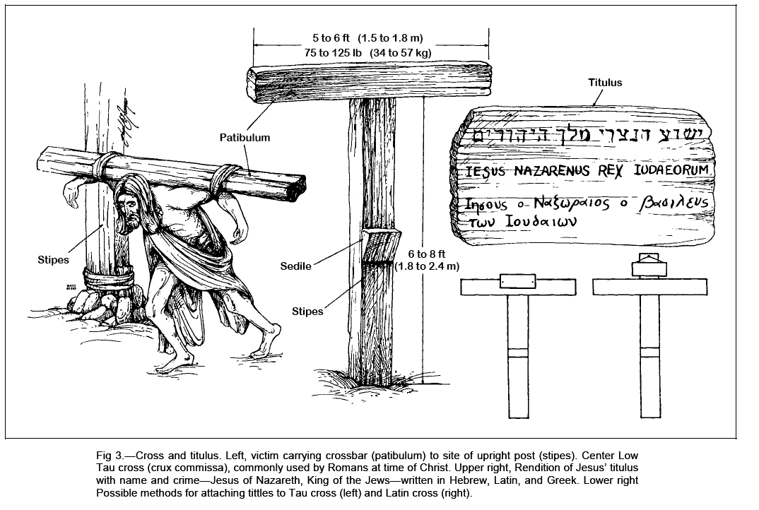 Echoes of the Myth: On the Physical Death of Jesus Christ