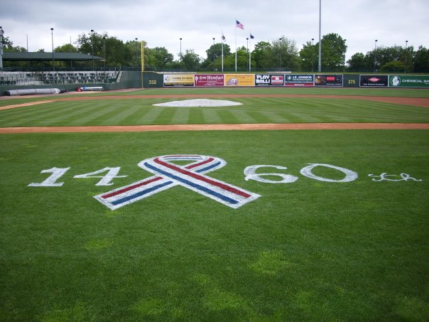 Mowed some cool designs on baseball fields