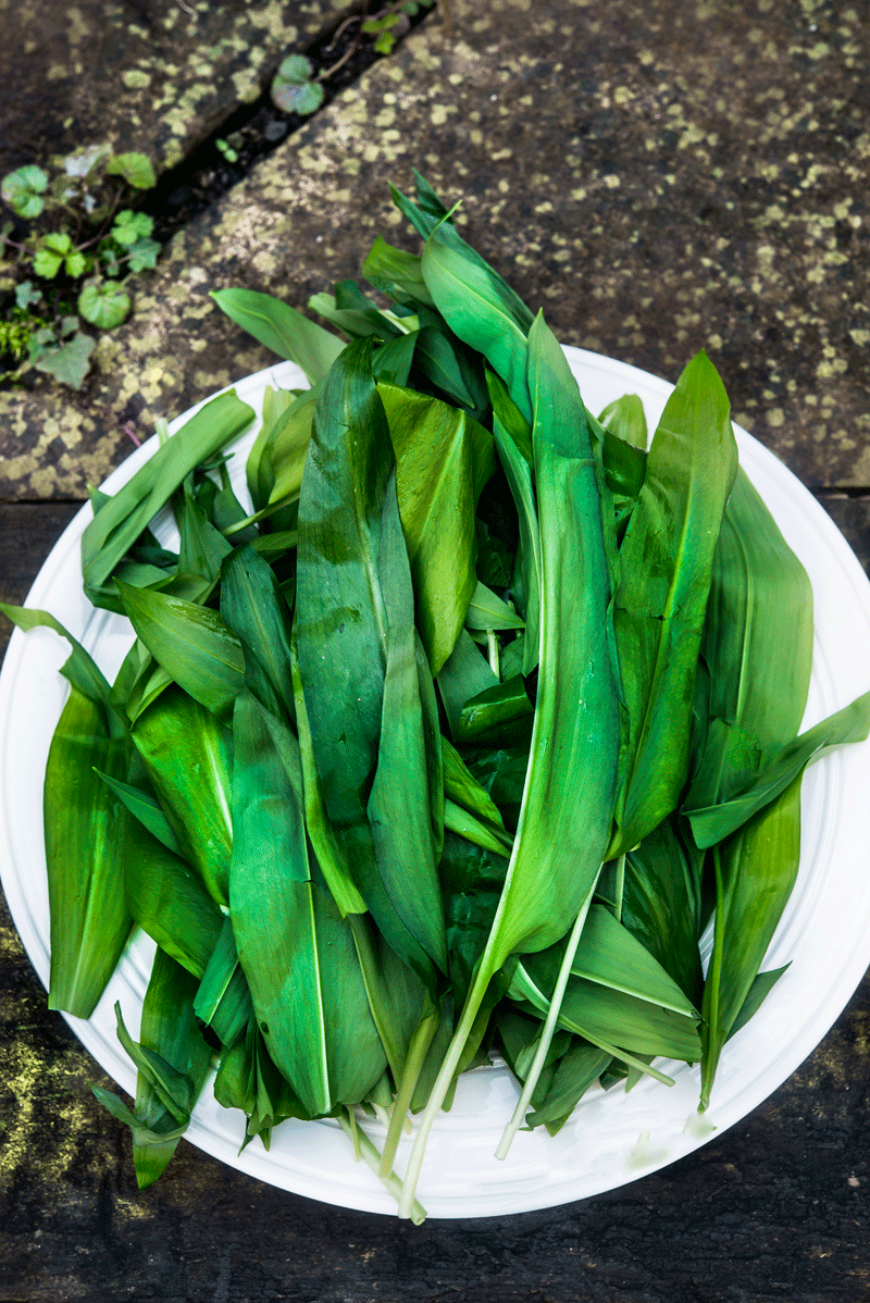 Ramp Butter & Irish Brown Soda Bread - WILD GREENS & SARDINES