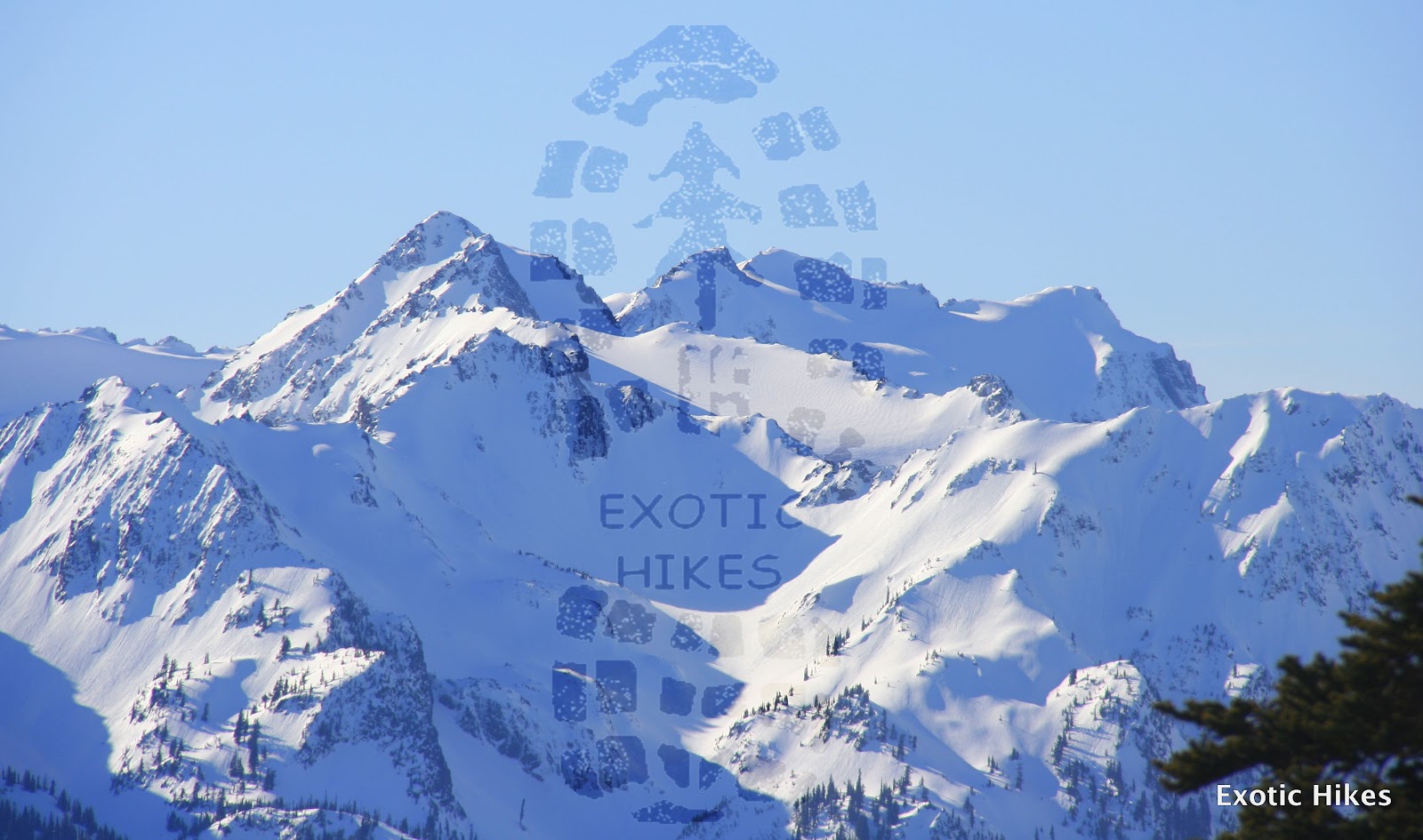 Olympic Peninsula Hikes, Guides and Updates: Why come to the Olympic ...