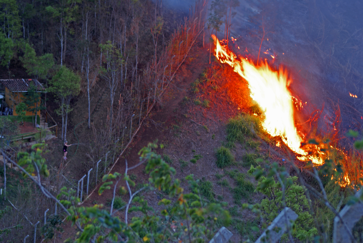 orlando graeff escreveu: O QUE VOCÊ PRECISA SABER SOBRE FOGO NAS ...