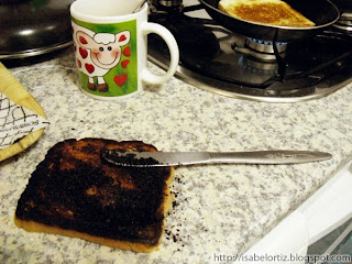 Fagner Cavalcante: Torrada Queimada