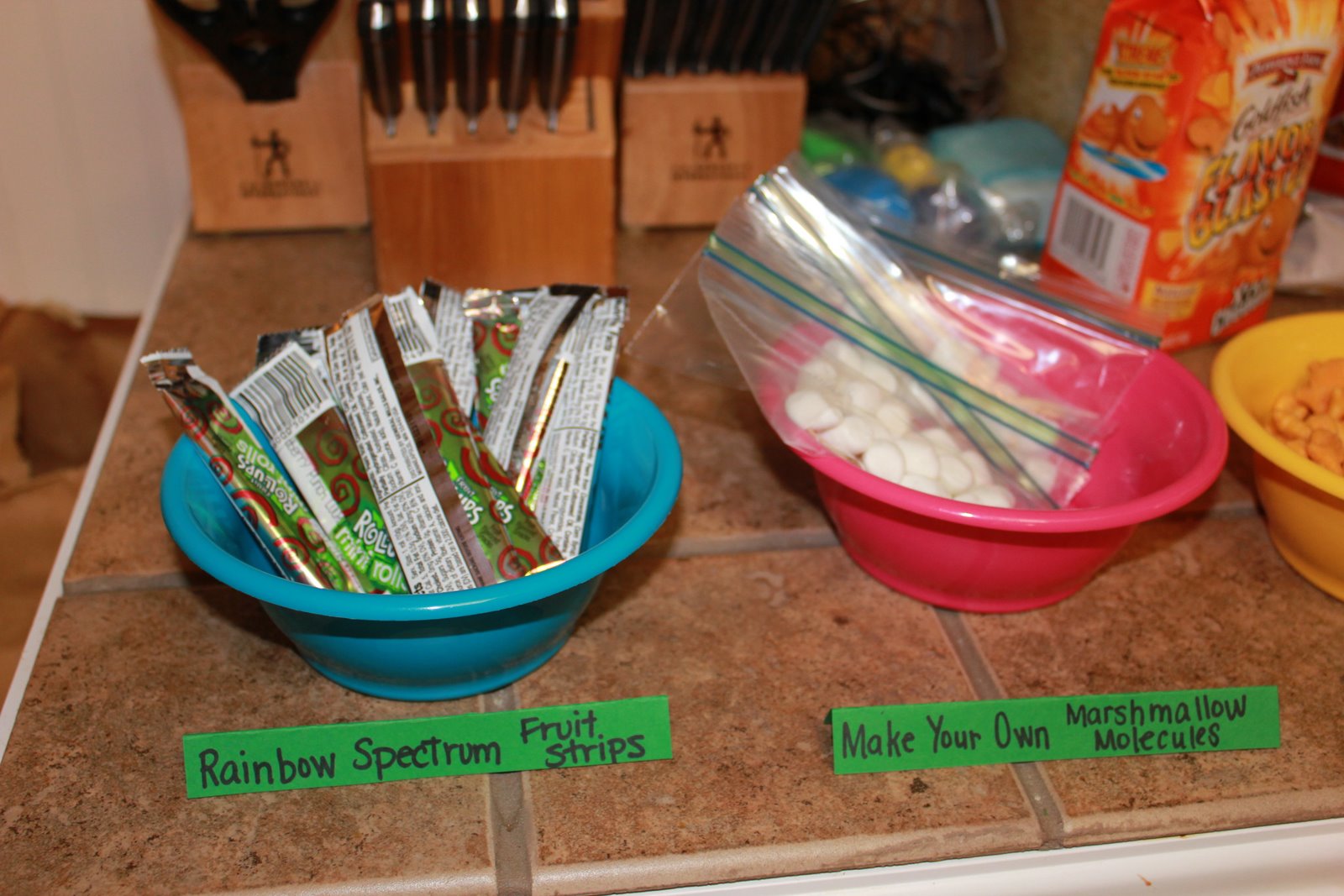 THE MUDDY PRINCESS: Science Birthday Party