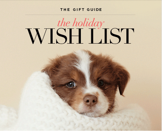 Sherry Chiger: If You Don’t Read This Blog Post, We’ll Kill This Dog