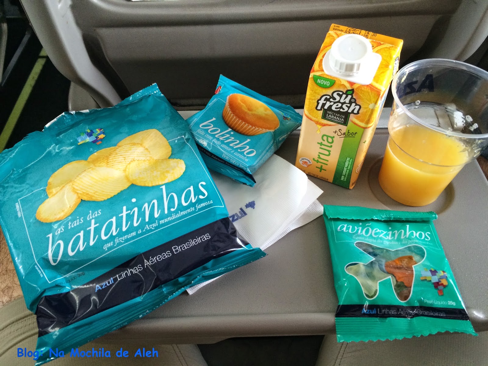 NA MOCHILA DE ALEH: Como é voar nas companhias aéreas nacionais? A vez ...