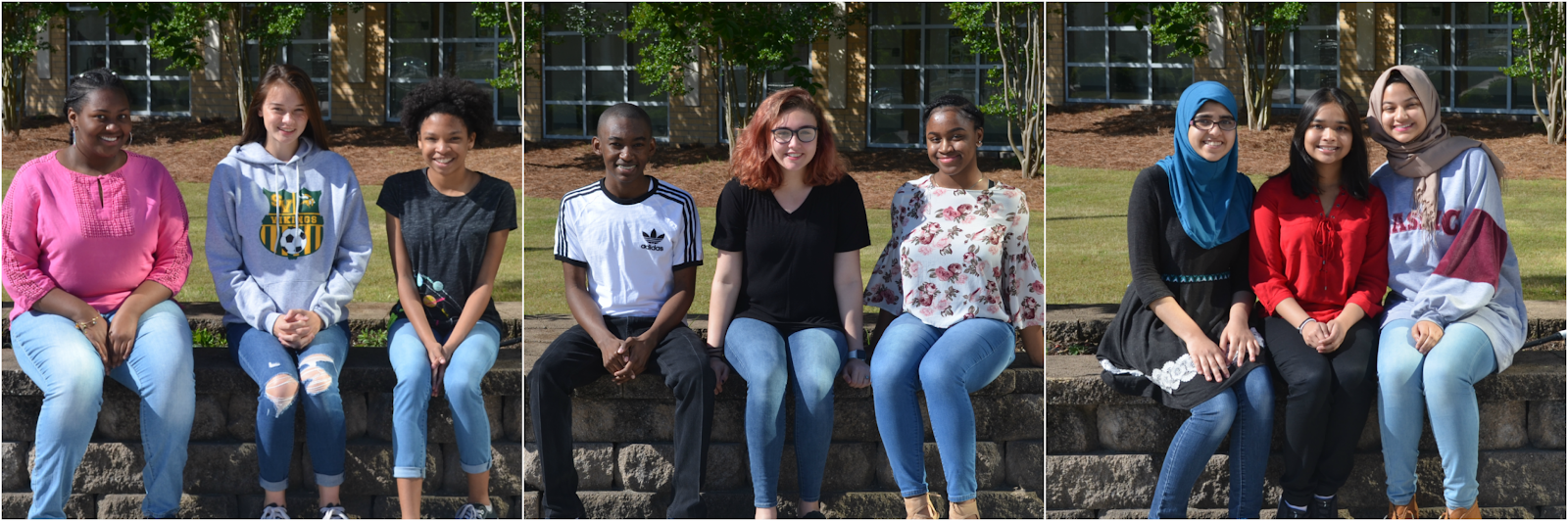 Viking Update: Spring Valley High School Ninth Graders Named State ...