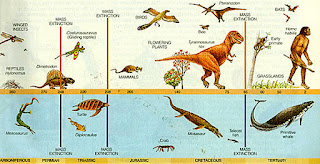 Learning Geology: STRATIGRAPHIC CORRELATION, FOSSILS, FACIES, AND SEA ...