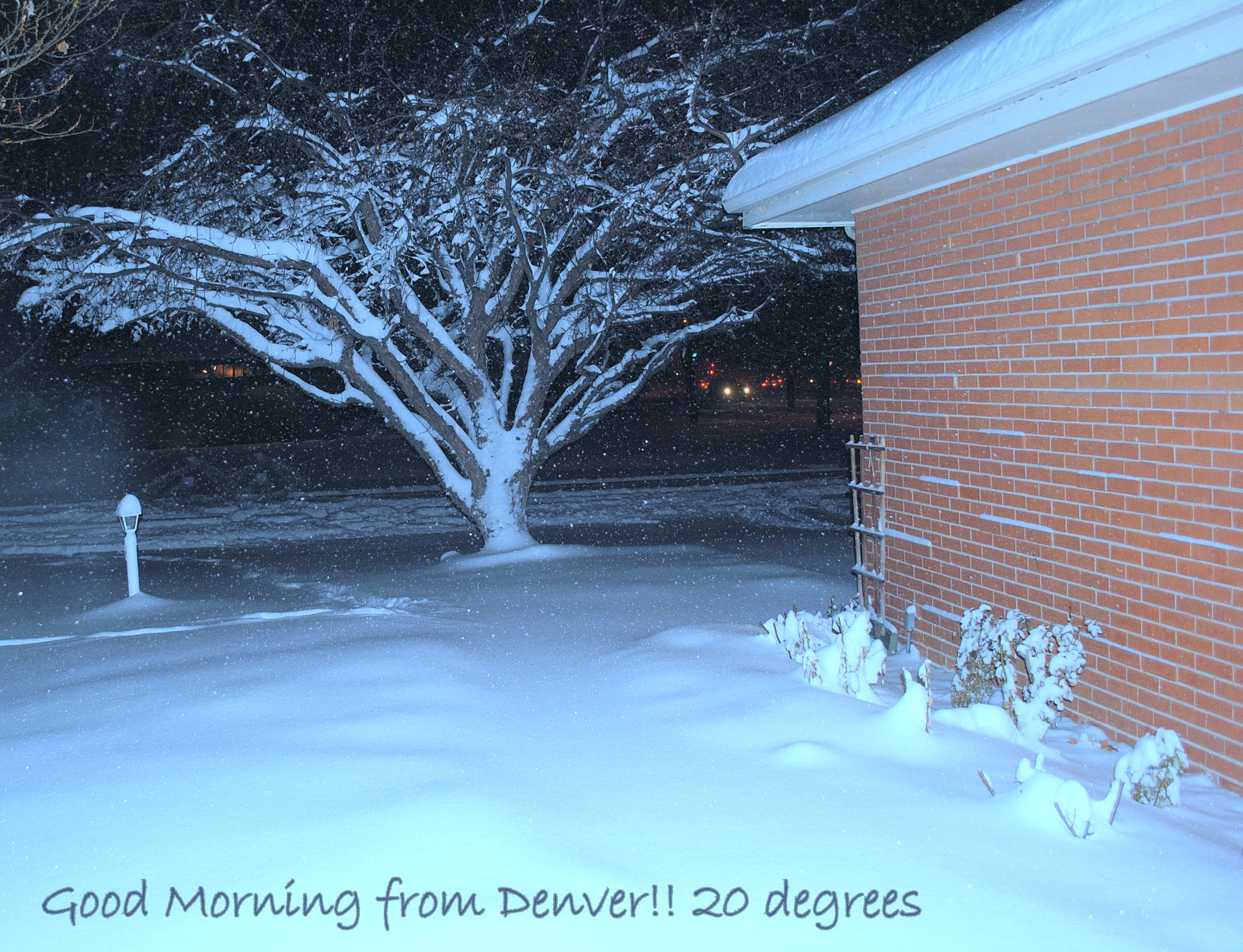 Mountain Mermaid: Good SNOWY morning!