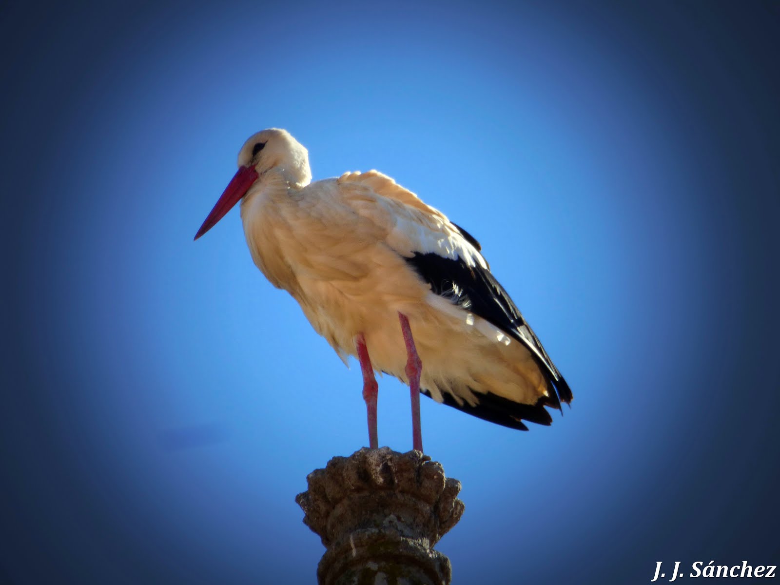 Montehermoso Natural: El Paraje Natural de Las Potras en Montehermoso