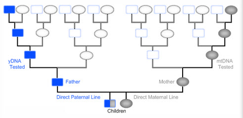 The Ultimate Family Historians: Y-DNA Testing