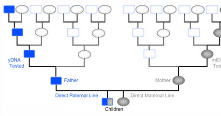 The Ultimate Family Historians: Y-DNA Testing