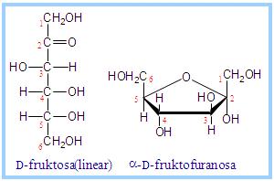 Widya_jongDya: stereoisomer