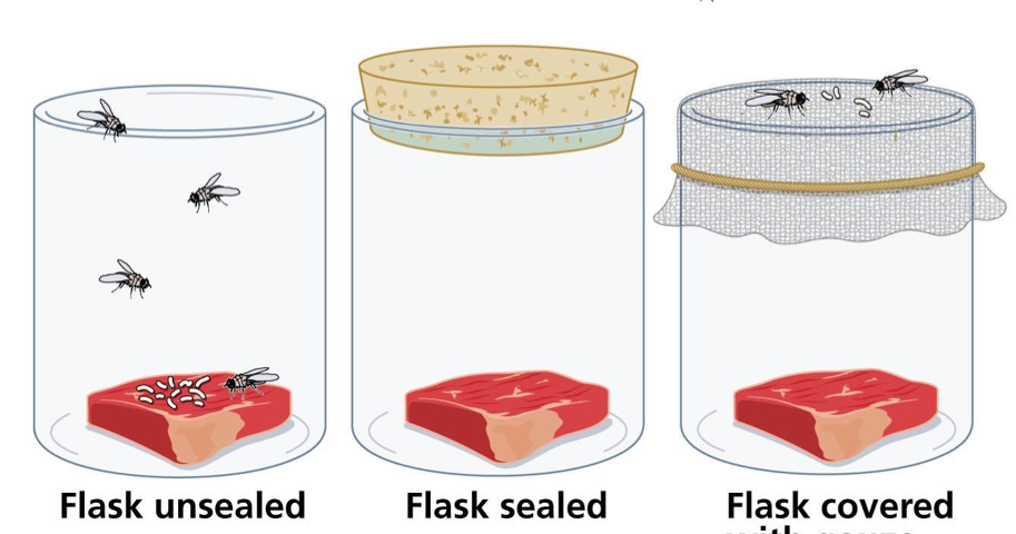 colectivo21904: experimento de redi