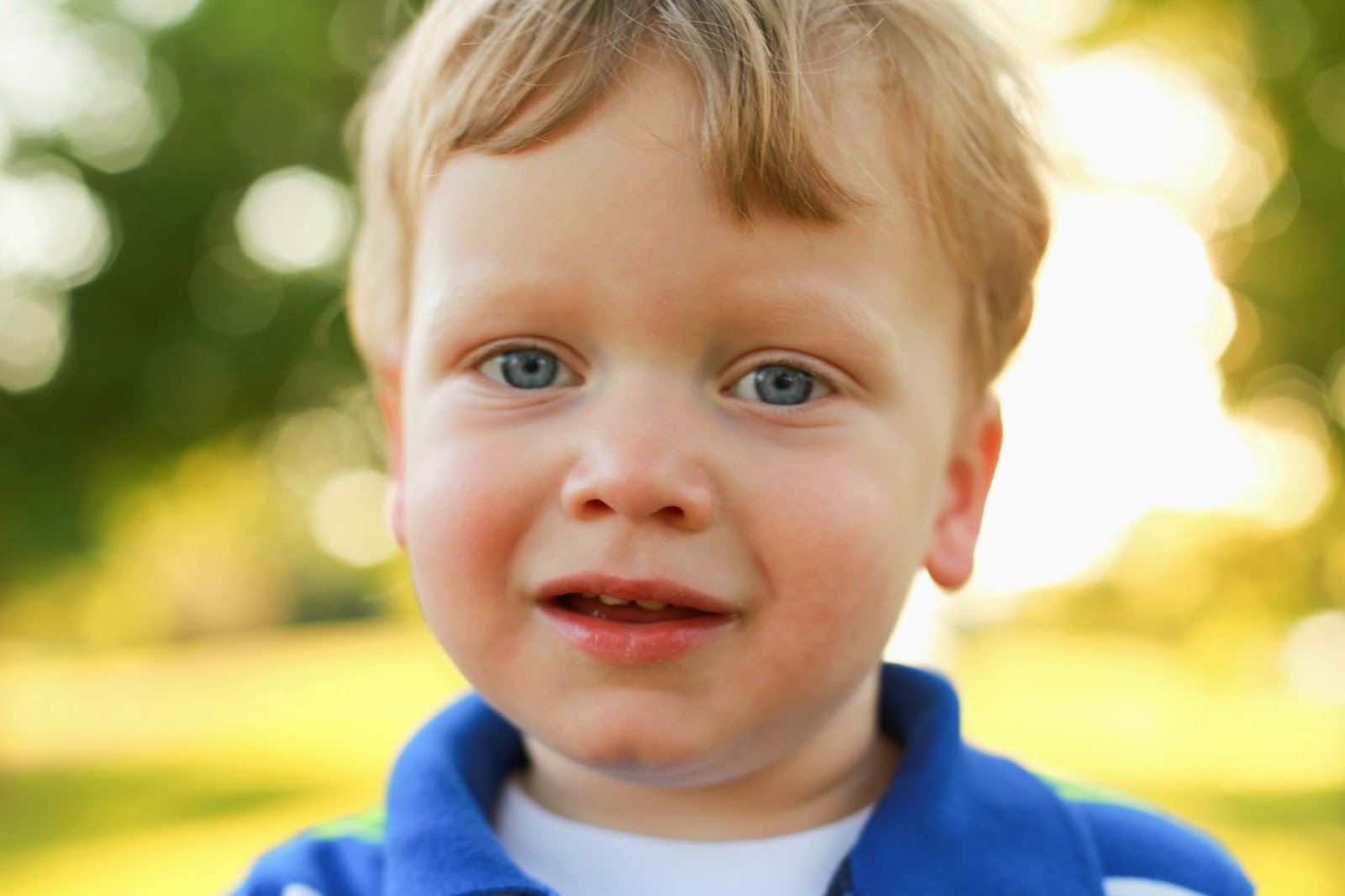 The Perkins Pack: 2-year-old Photo Shoot