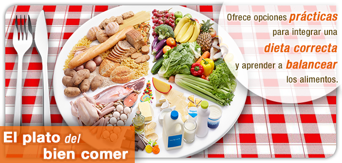 HAMBRE?... Come saludable!: Aprende a entender el Plato del Buen comer ...