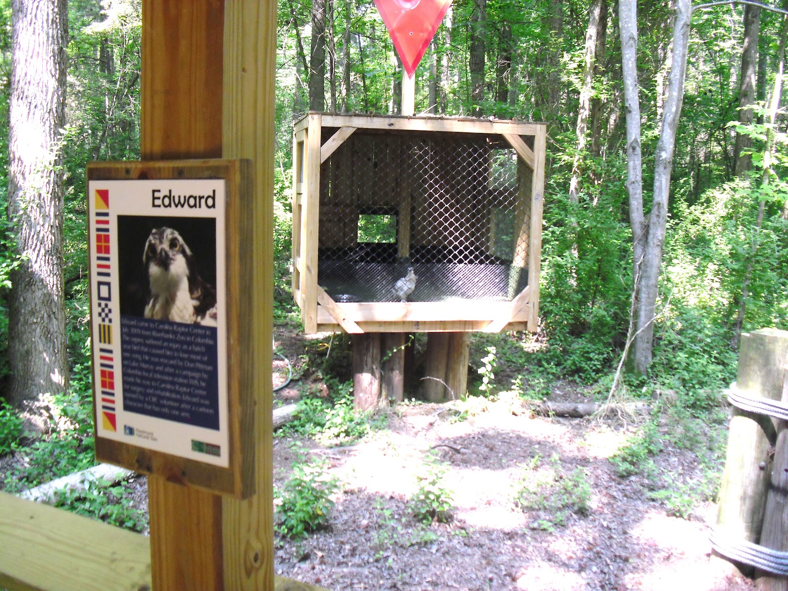 Travel NC With Kids: Carolina Raptor Center – See Eagles, Owls, Hawks ...