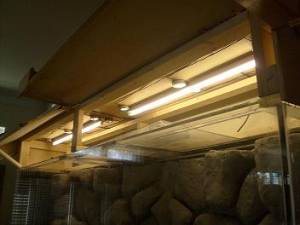 Giant Aquariums: 600 Gallon Fish Tank / Aquarium - $6000 (Charlotte)