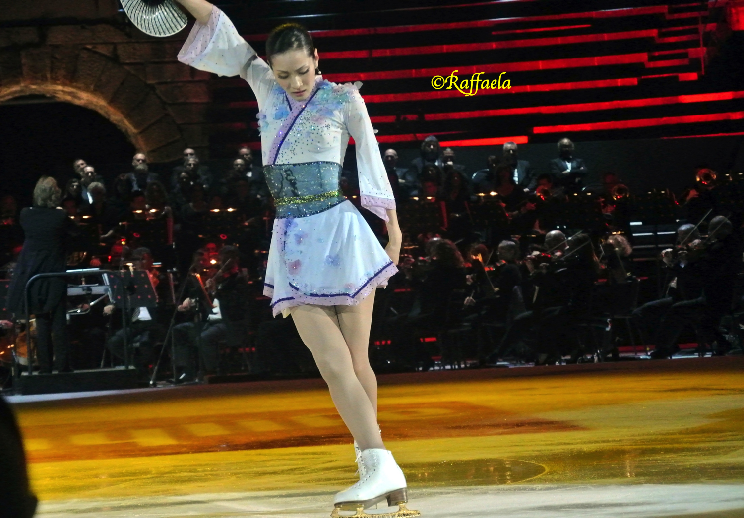 Fotografia è Vita: Opera on Ice lo Spettacolo 2013