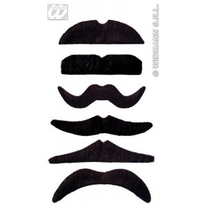 French Vocabulary Illustrated: postiche