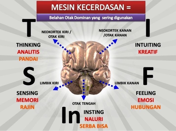 STIFIn; 10 Kunci Taklukan Thinking