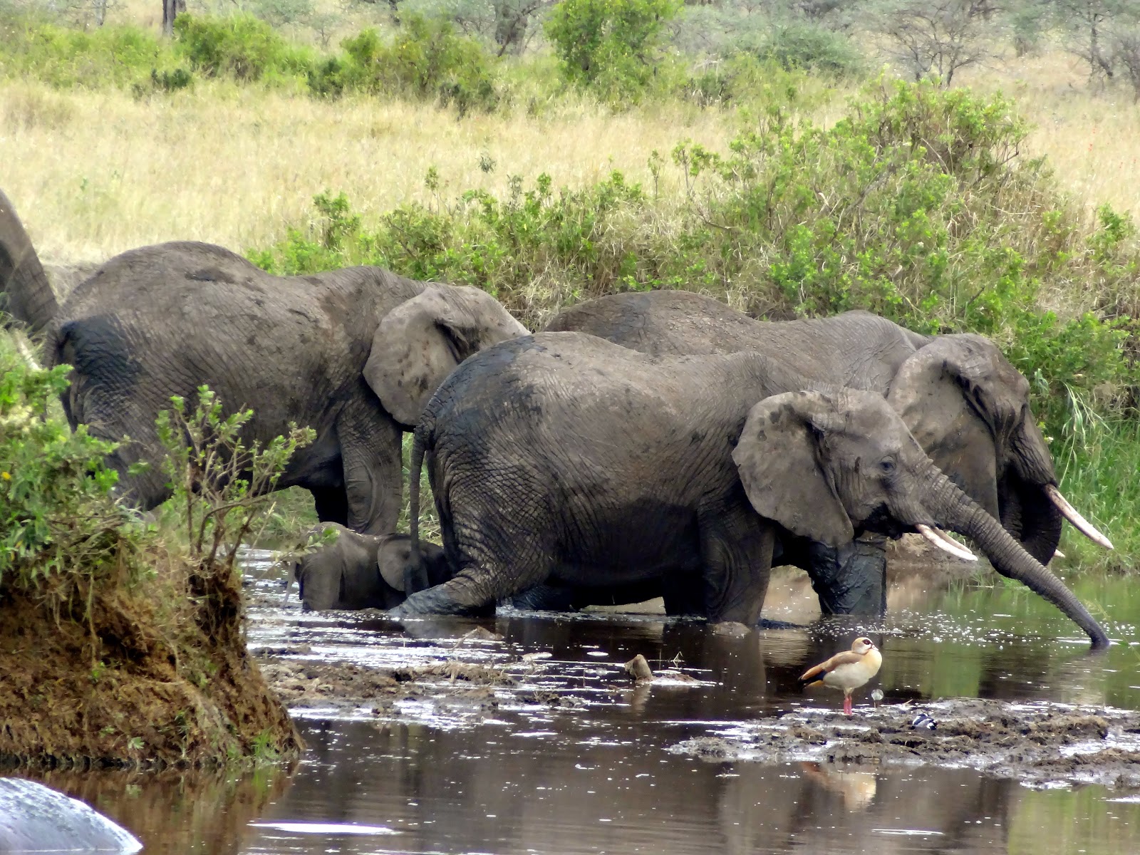 Explore!: 2013-04-14