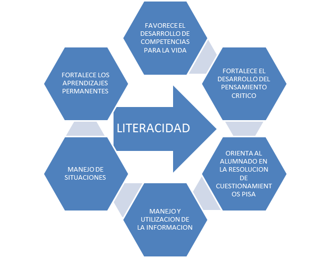 ¿Qué es la literacidad?