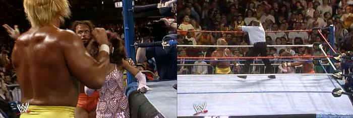 Wrestlemania para siempre: Wrestlemania V