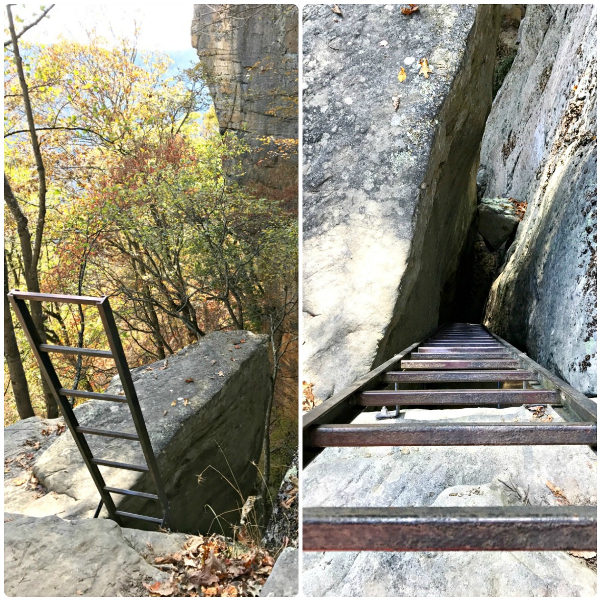 Frugal Foodie Mama: Hiking the Endless Wall Trail