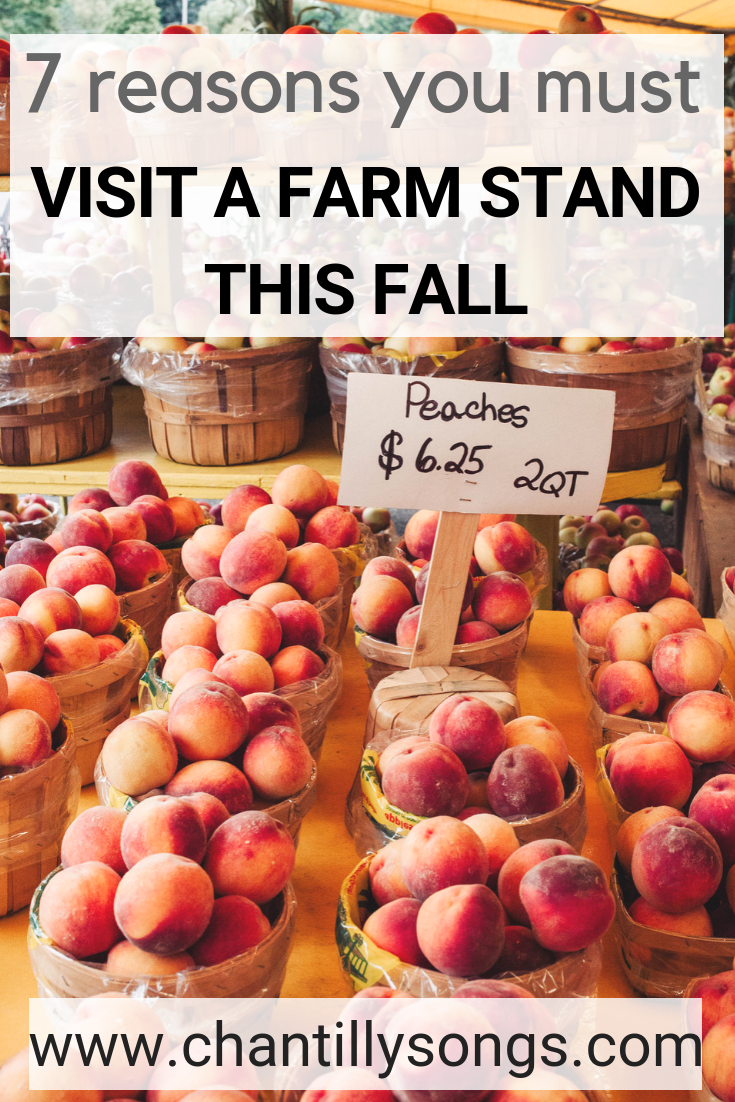 7 Reasons Why You Must Visit a Farm Stand This Fall