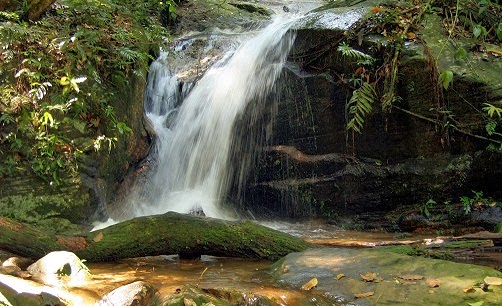 TOP 5 Cachoeiras no RJ para aproveitar nesse verão - Blog da Priscilla