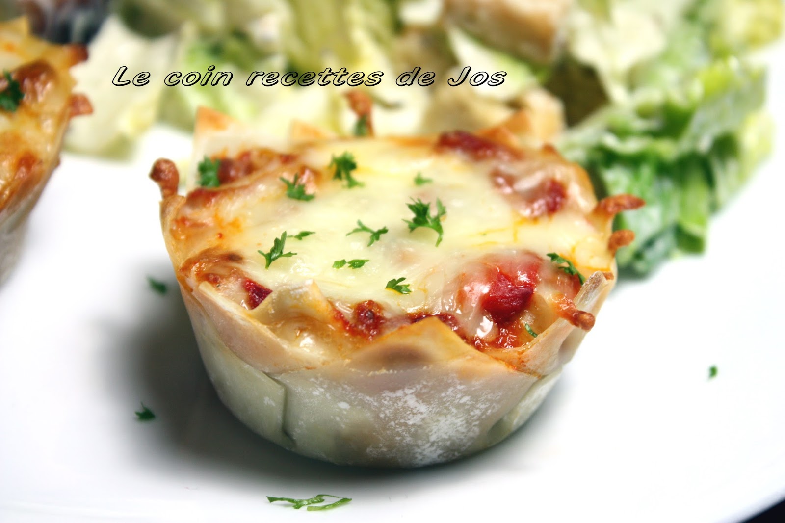 Le coin recettes de Jos: MINI-LASAGNES WON-TON