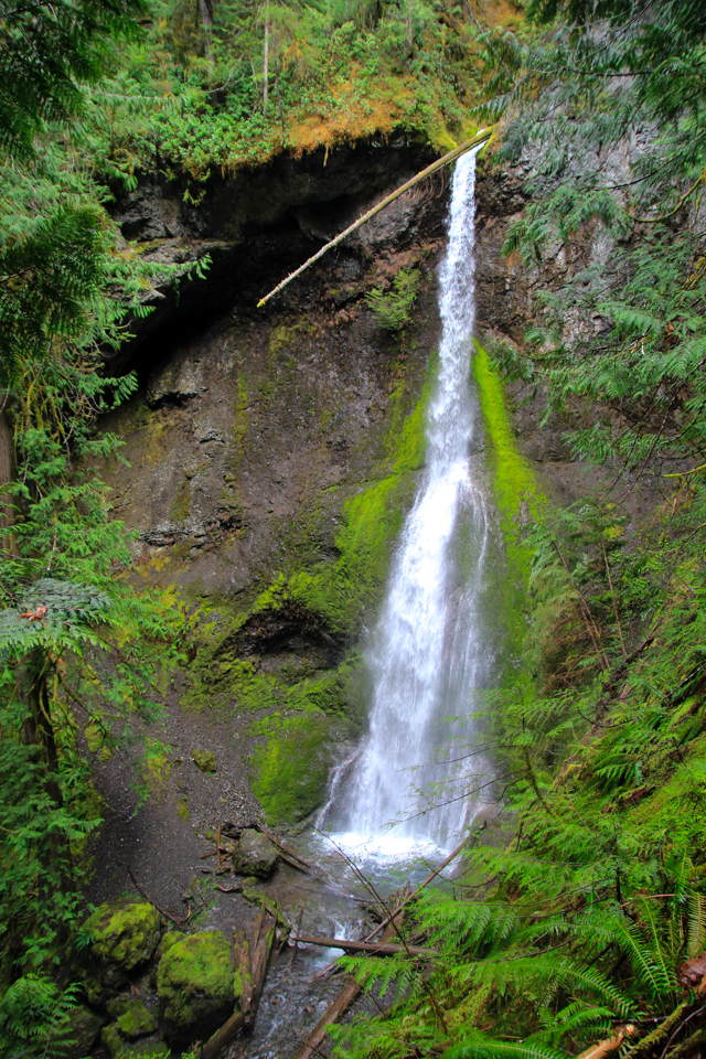 ink + adventure: Olympic National Park, WA // Lake Crescent and ...