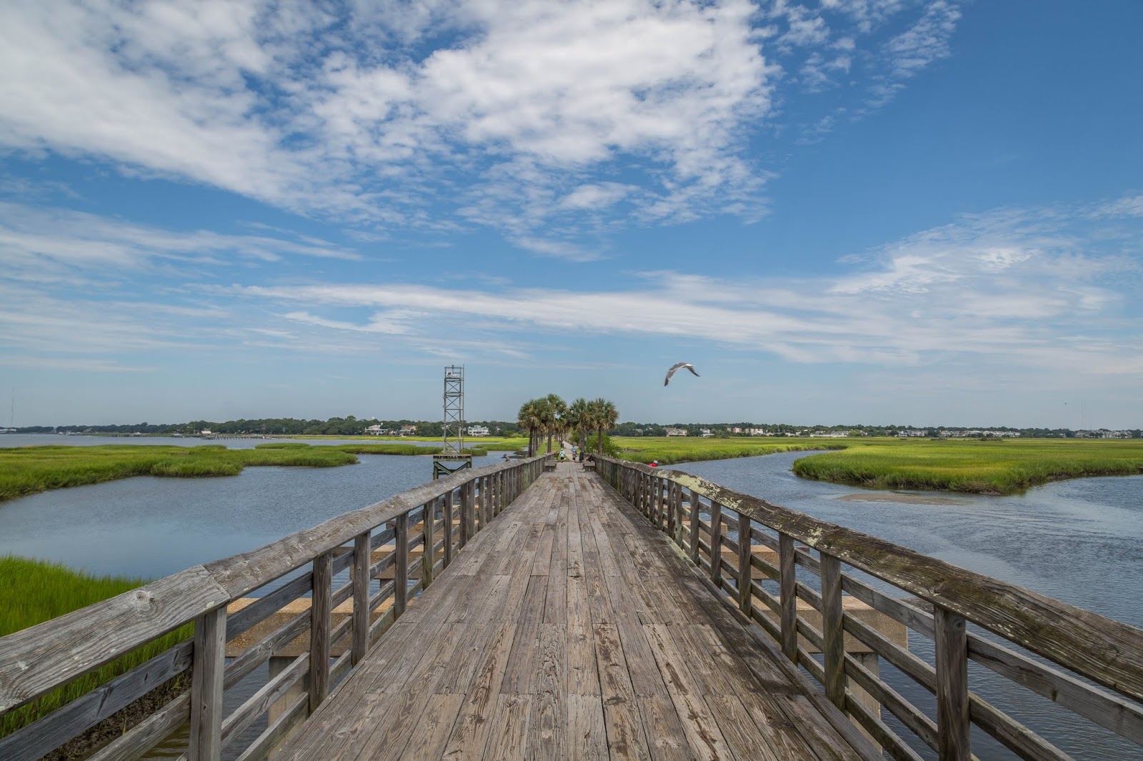 Charleston Daily Photo: Walk with me - Pitt St. bridge, Mt. Pleasant