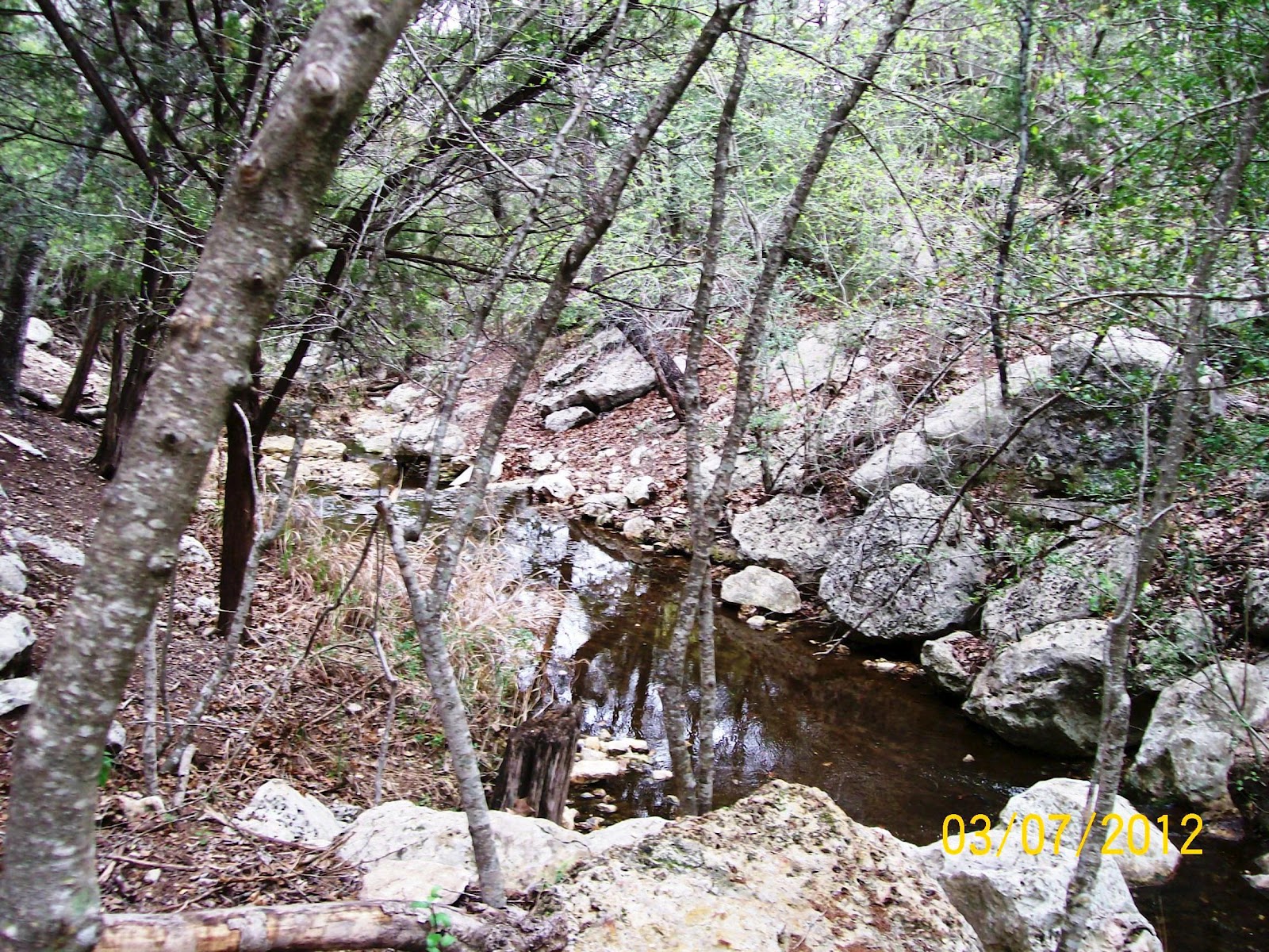 Rockhounding Around: The Austin Chalk