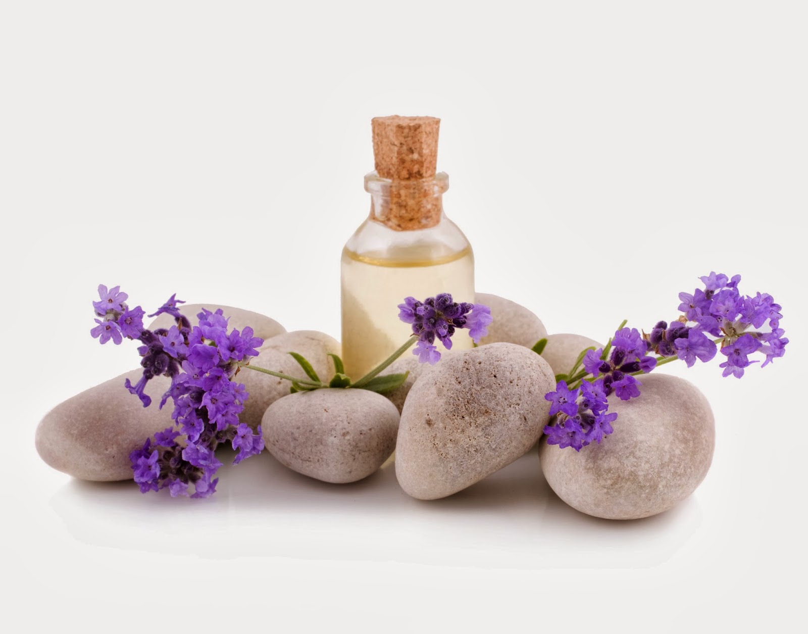 COMPROMISSO CONSCIENTE: Florais de Bach - Dicas e Lembretes