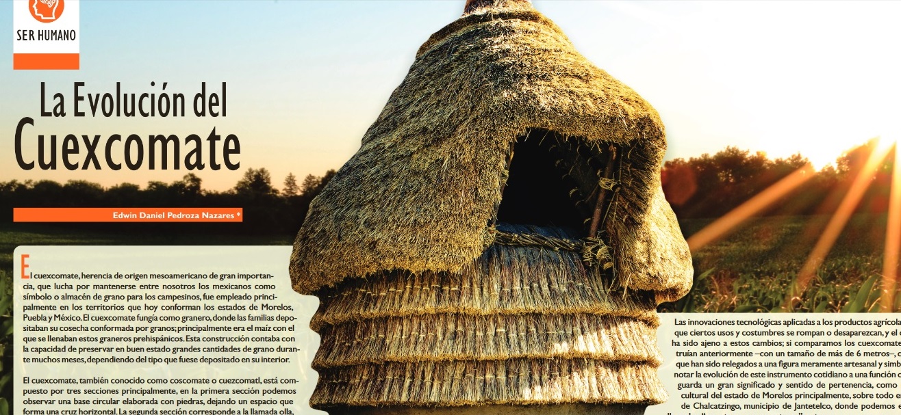 La Evolución del Cuexcomate - Bloc XY