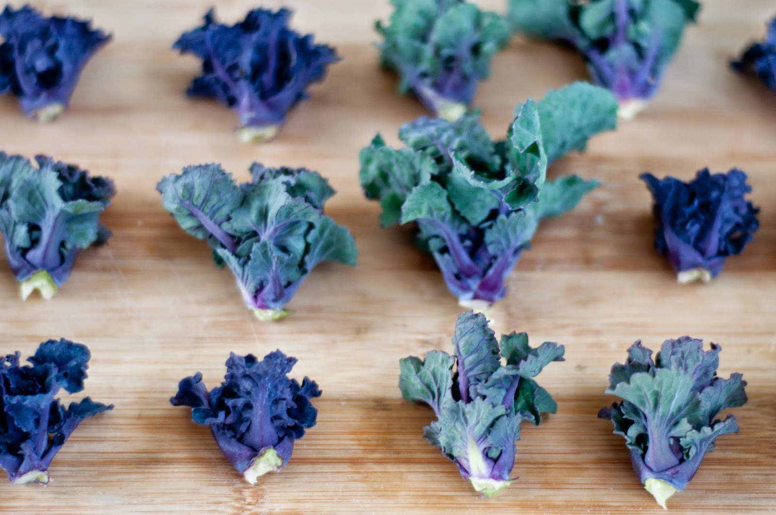 Robson's Farm: Kalette Quiche