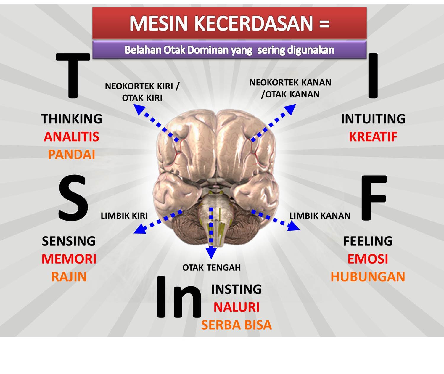 STIFIn Sensing: STIFIn Sensing
