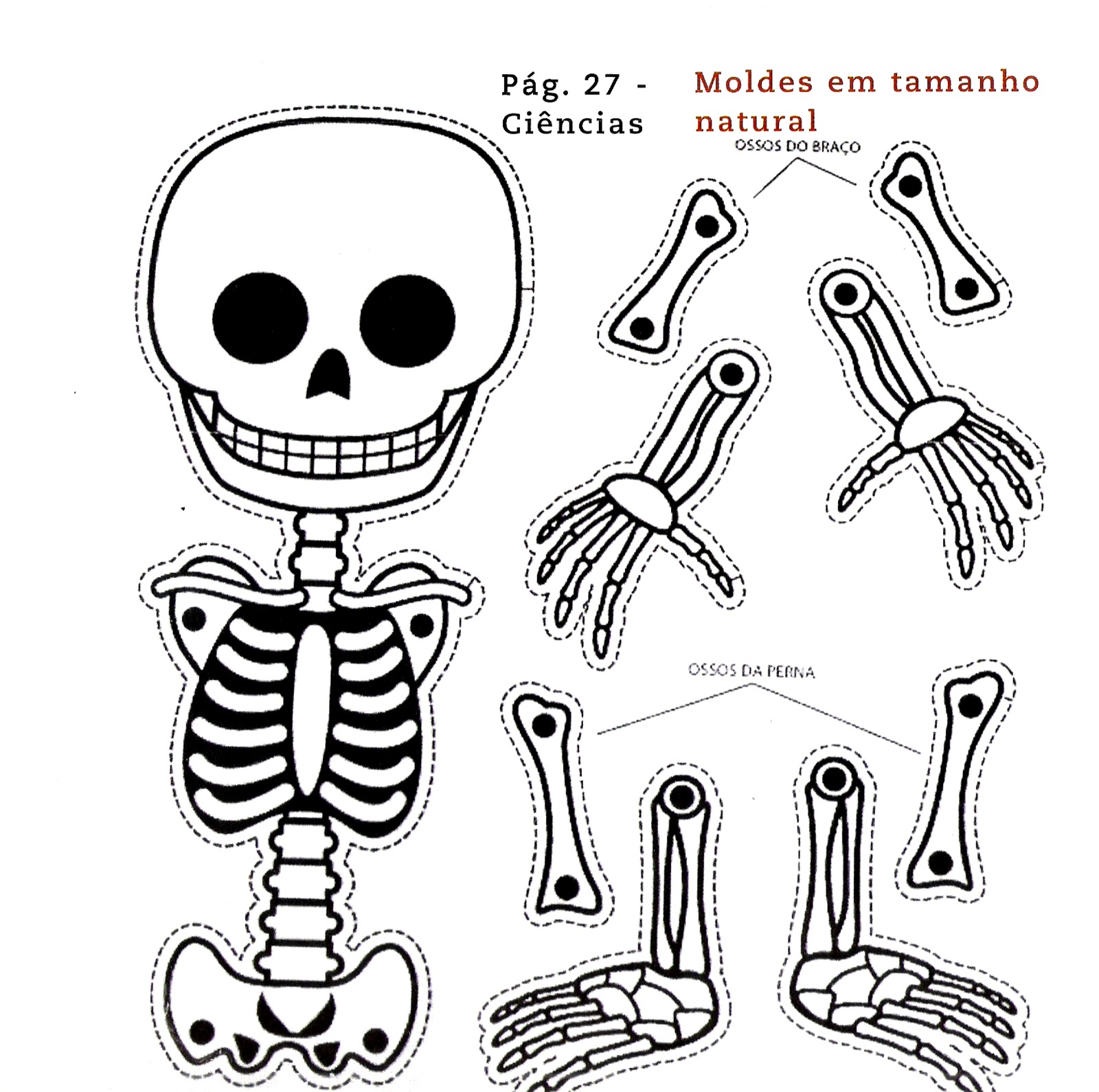 Dibujos De Esqueletos Para Niños - Master Deformacion