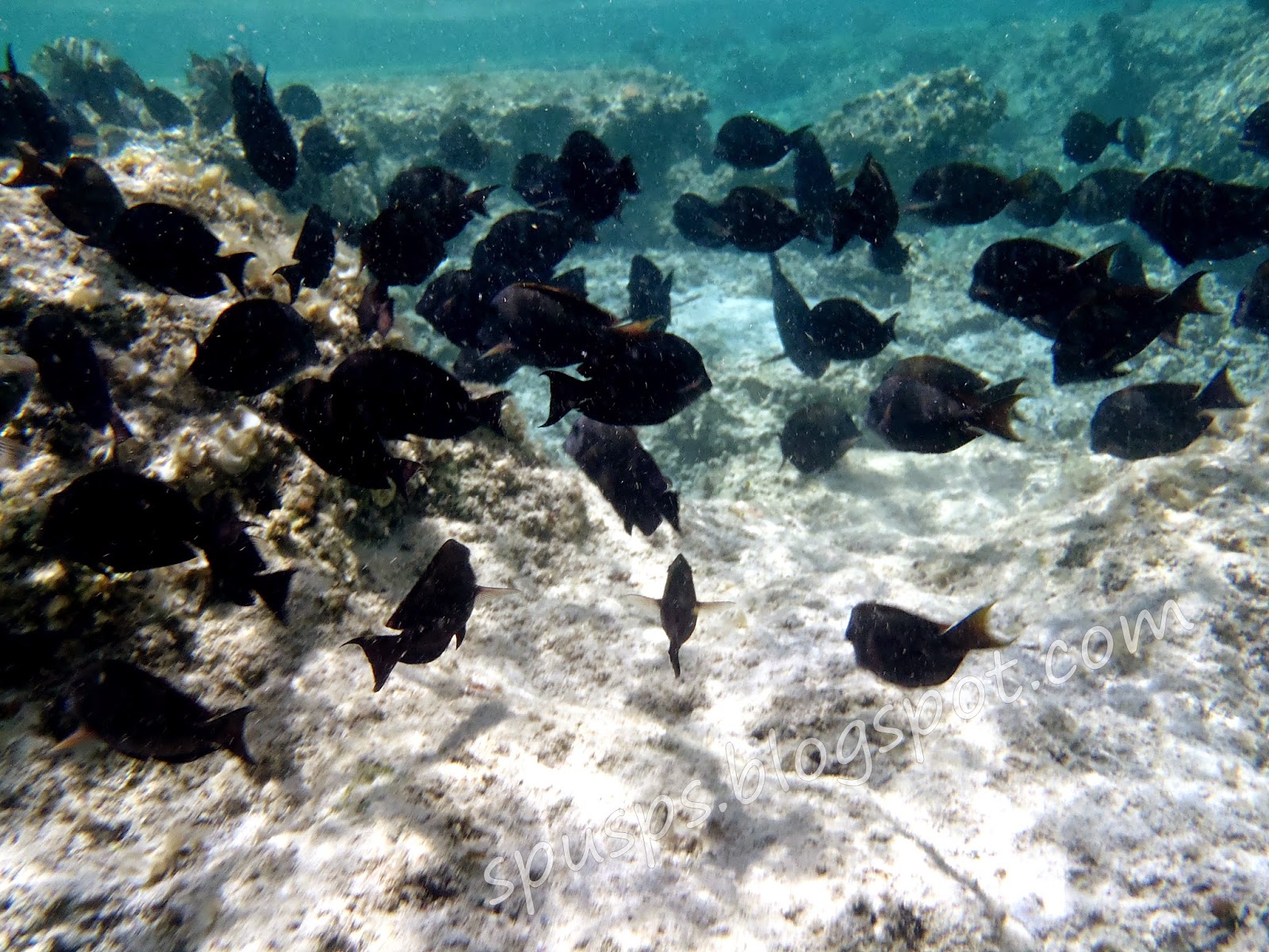 sztuka palcem u stopy po suficie: 2014