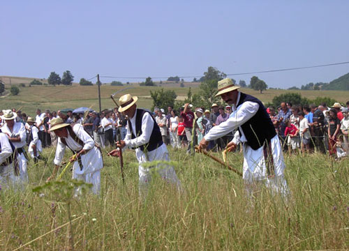 Rajac: Kolubara tours na Rajcu