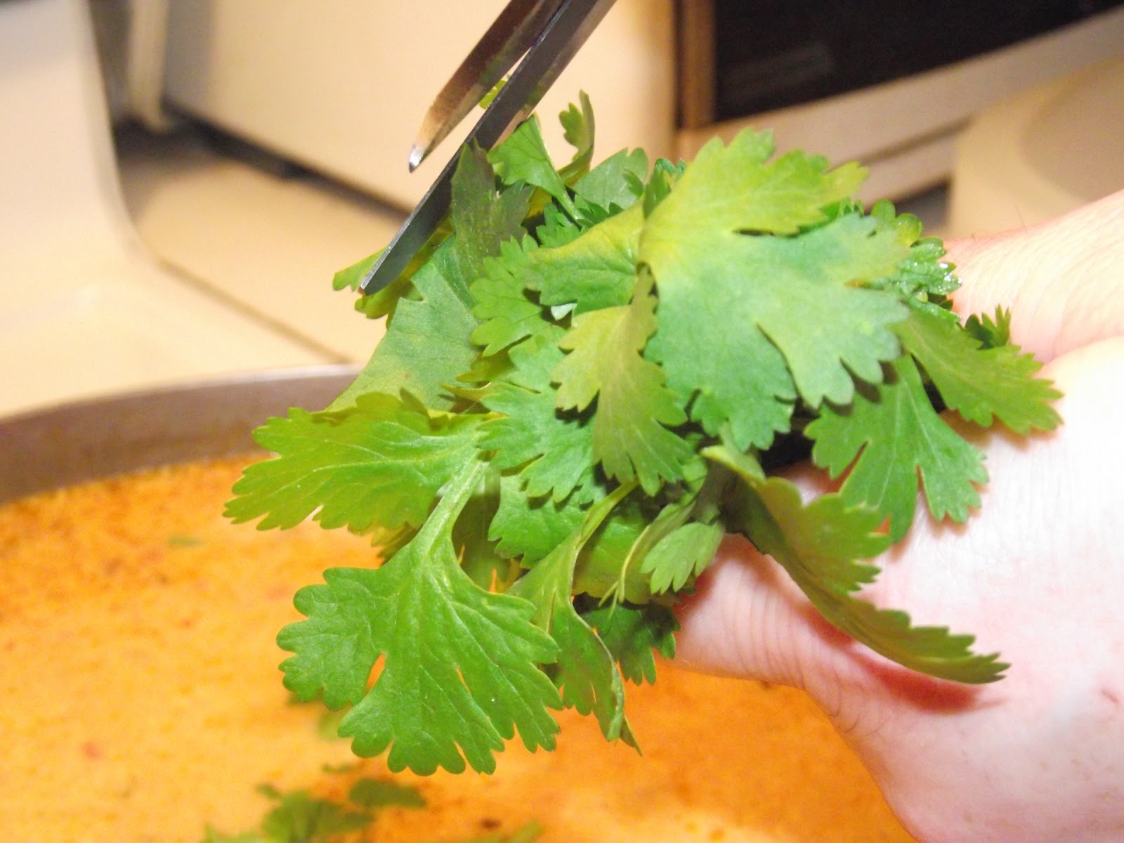 The Unabashed Kitchen Wench: Creamy Chipotle Pork Soup