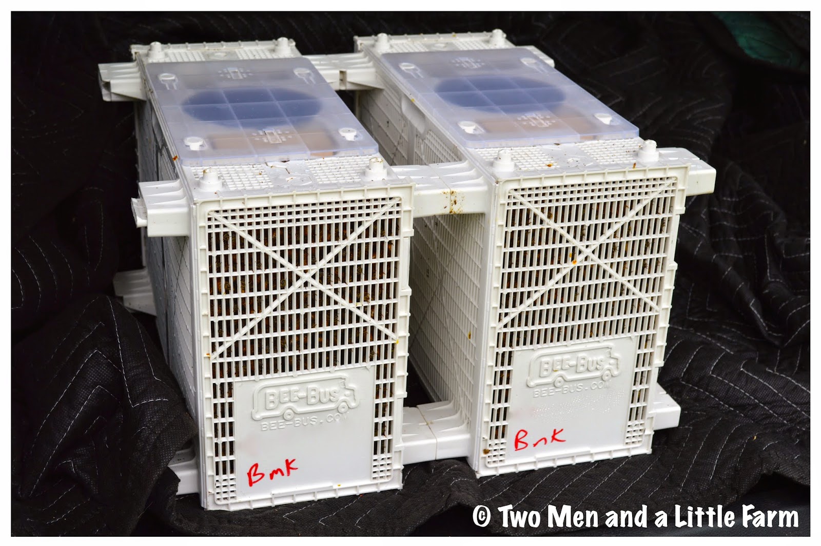 Two Men and a Little Farm: HOW TO INSTALL PACKAGE BEES INTO A HIVE