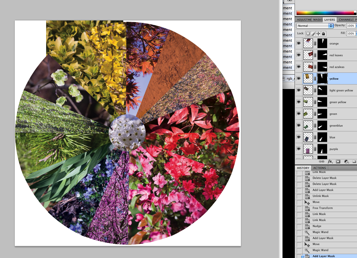 Color Wheel Photography