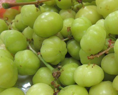 Future food ingredients