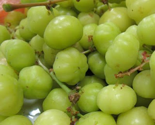 Future food ingredients