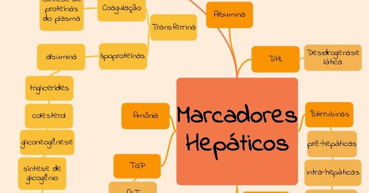 Hemácias Piradas: Marcadores Hepáticos