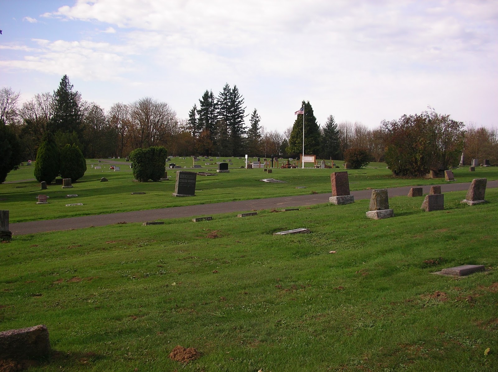 Adventures Of A Pine Cone Spider Collector: 25-Oct-2015 Nooksack ...