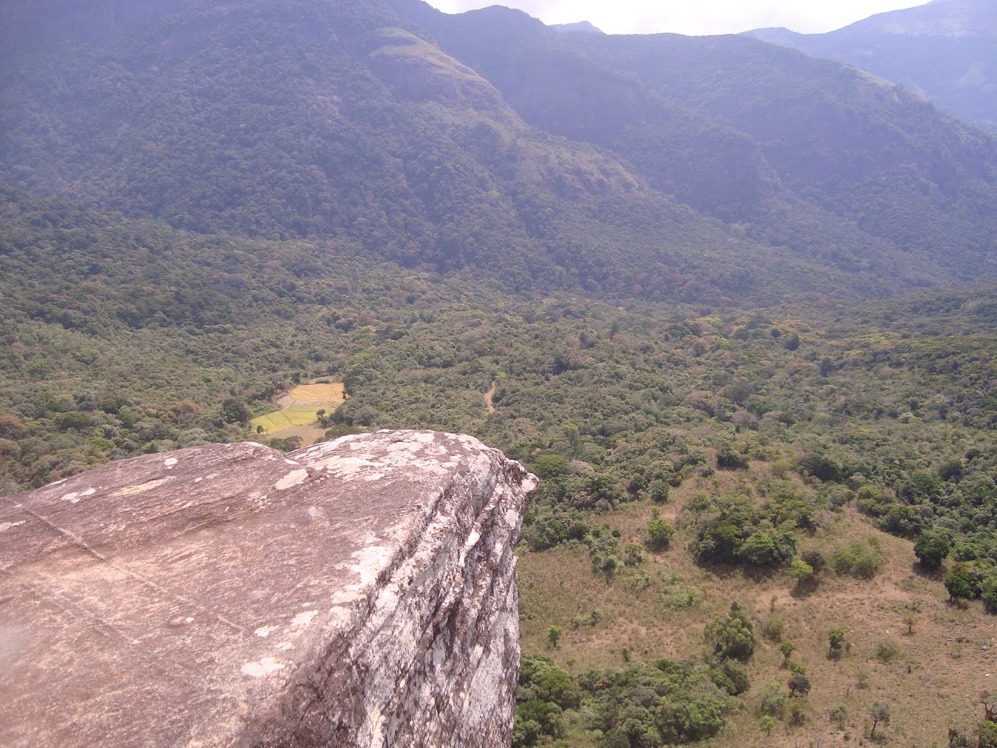 Hakaralla at Kitulgala